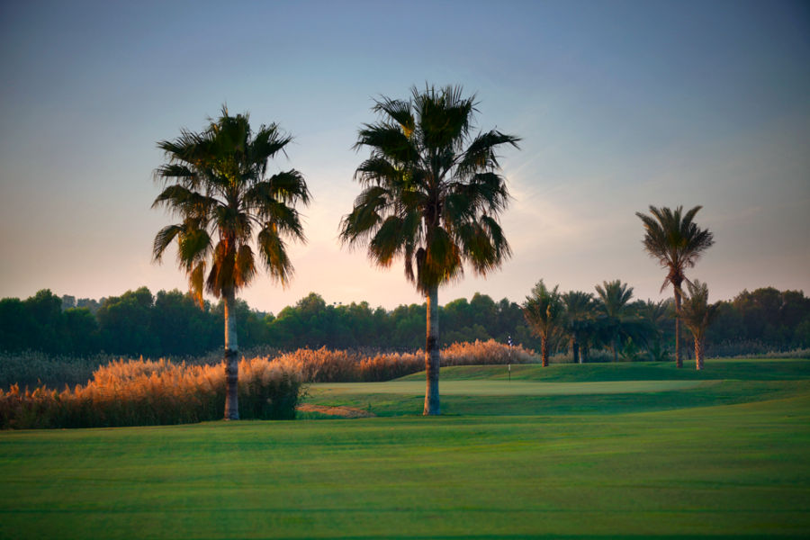 The Track, Meydan Golf | VAE | Golfreise Dubai | GOLFMOTION | GOLFMOTION