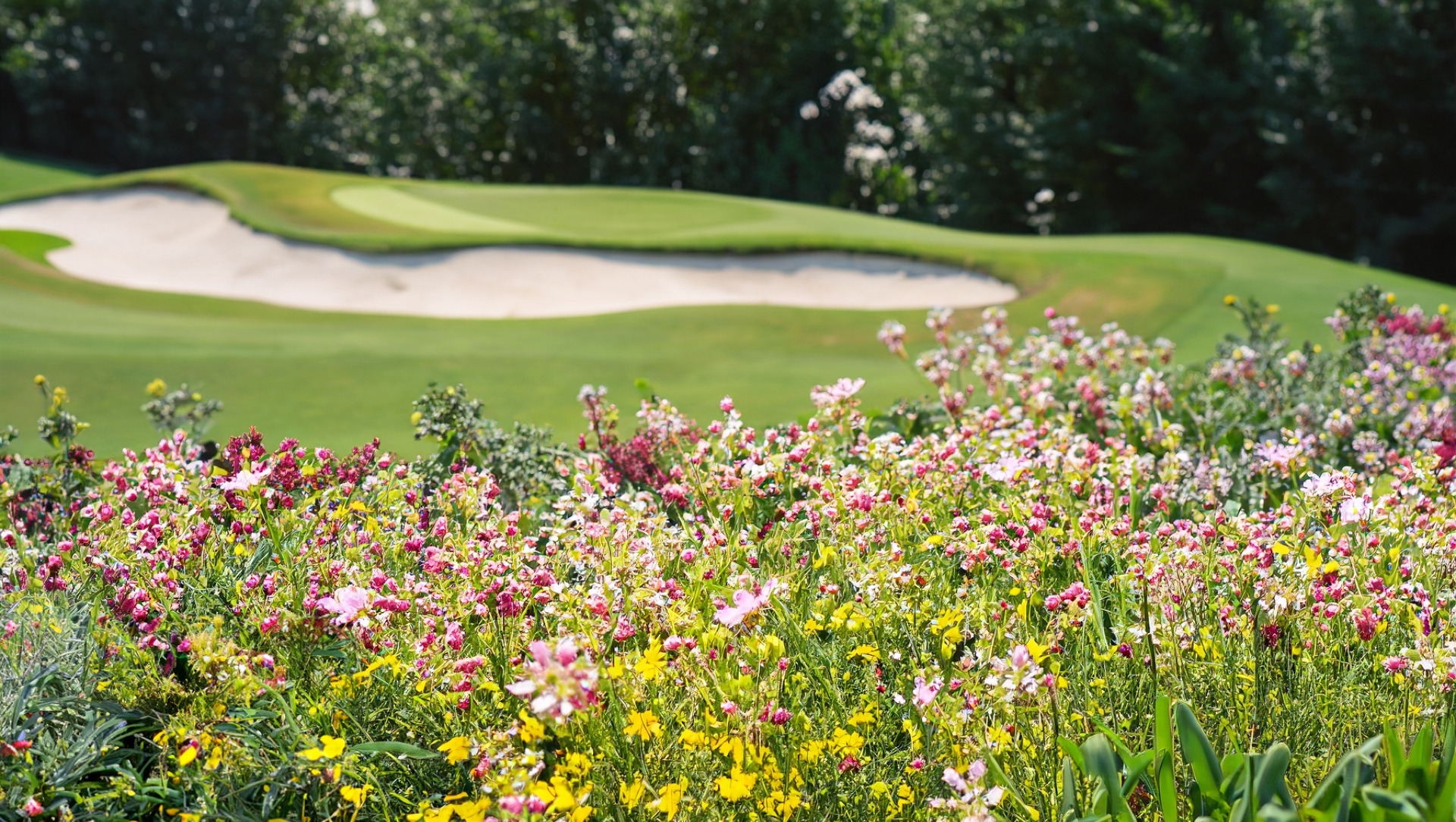 Nachhaltige Golfreisen, geht das überhaupt? | Magazin | GOLFMOTION
